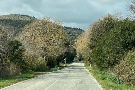 Riaperta la strada provinciale 3B Santa Severa-Tolfa