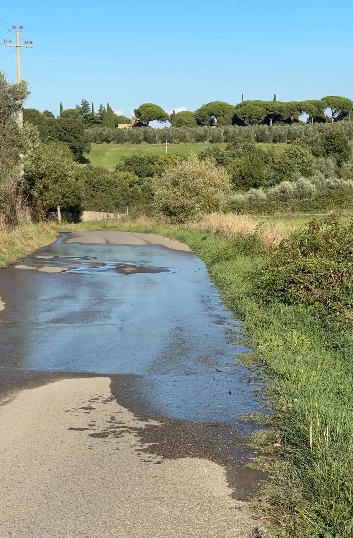 «Gravi perdite idriche da settimane»