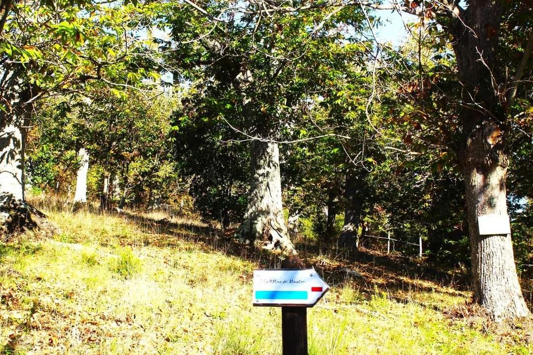 Il nuovo cammino sull’ultimo anello: domenica trekking alla scoperta ...