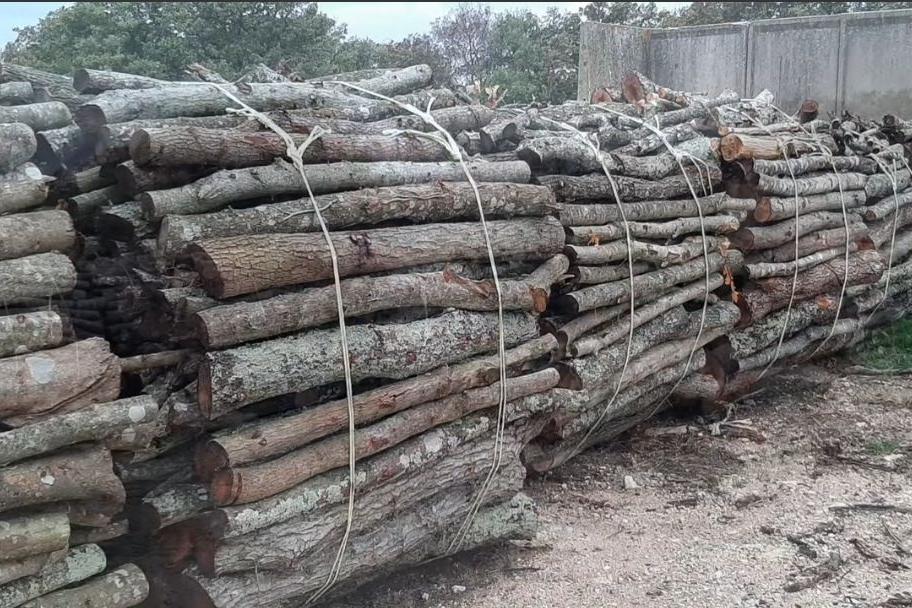 L’Università Agraria di Tarquinia dona 15 quintali di legna