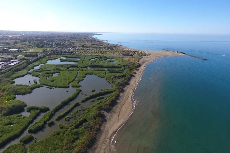 Torre Flavia, tra i luoghi di City Nature Challenge